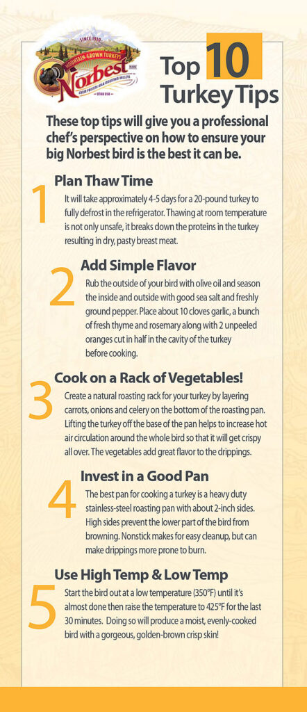 Top 10 Turkey Tips – Norbest